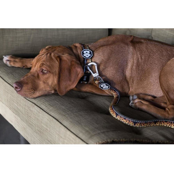 Flame Thrower | Leash | Fresh Pawz